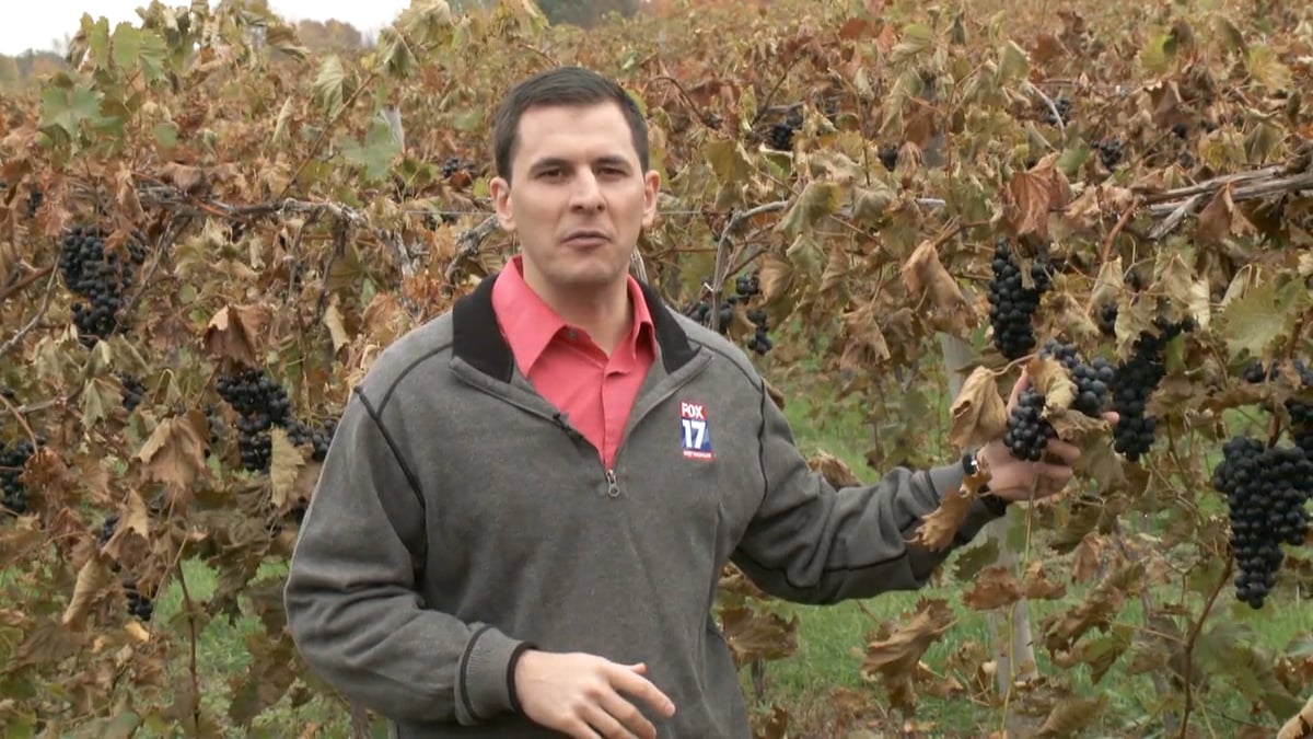 Specs Spotlight: Paul Cicchini